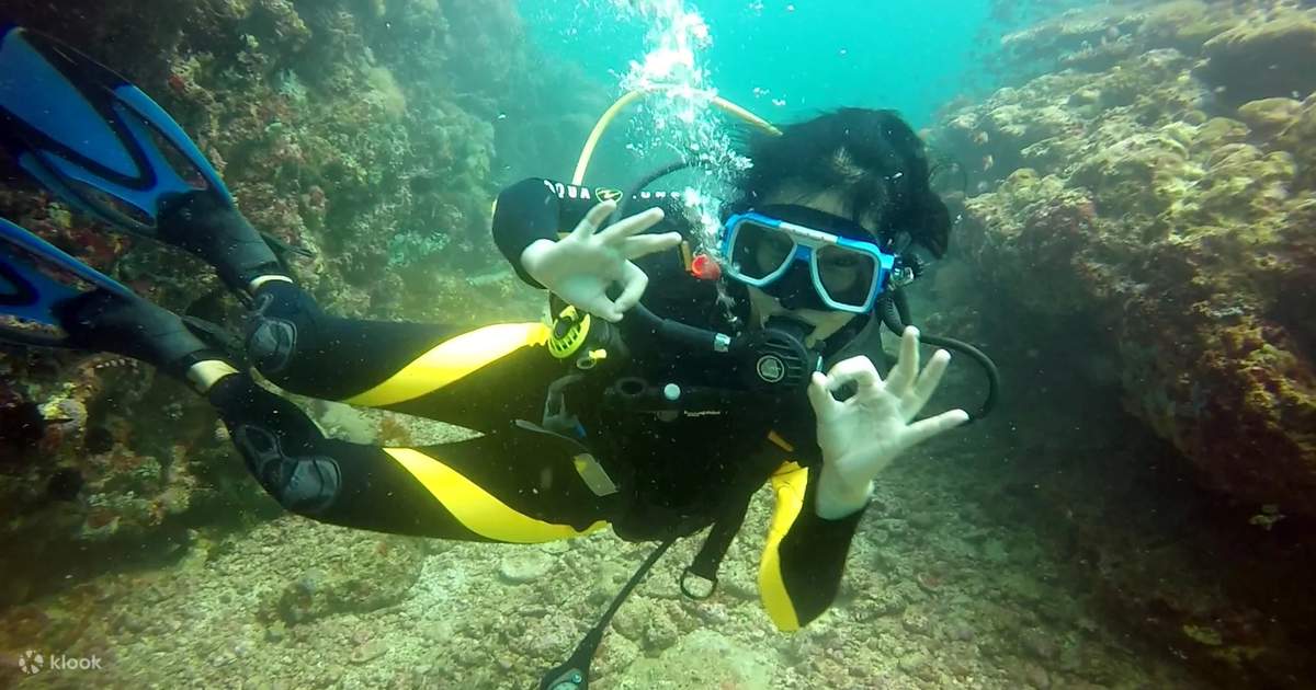 PADI Advanced Open Water Diver [eLearning] in Mindoro | PADI 5 Star Dive Resort - Klook